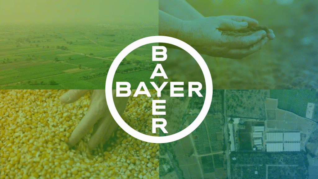 Bayer - Palette69